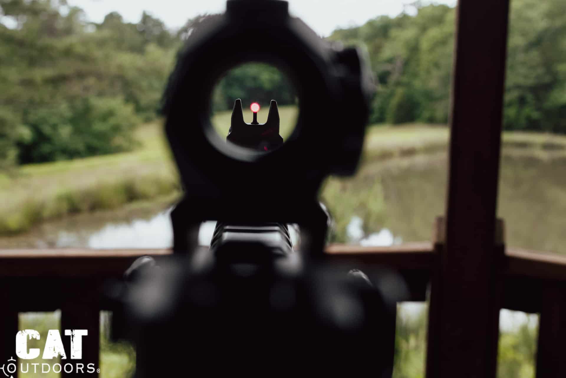 SIG Romeo 5 Review: Best Bang for the Buck Red Dot? - CAT Outdoors